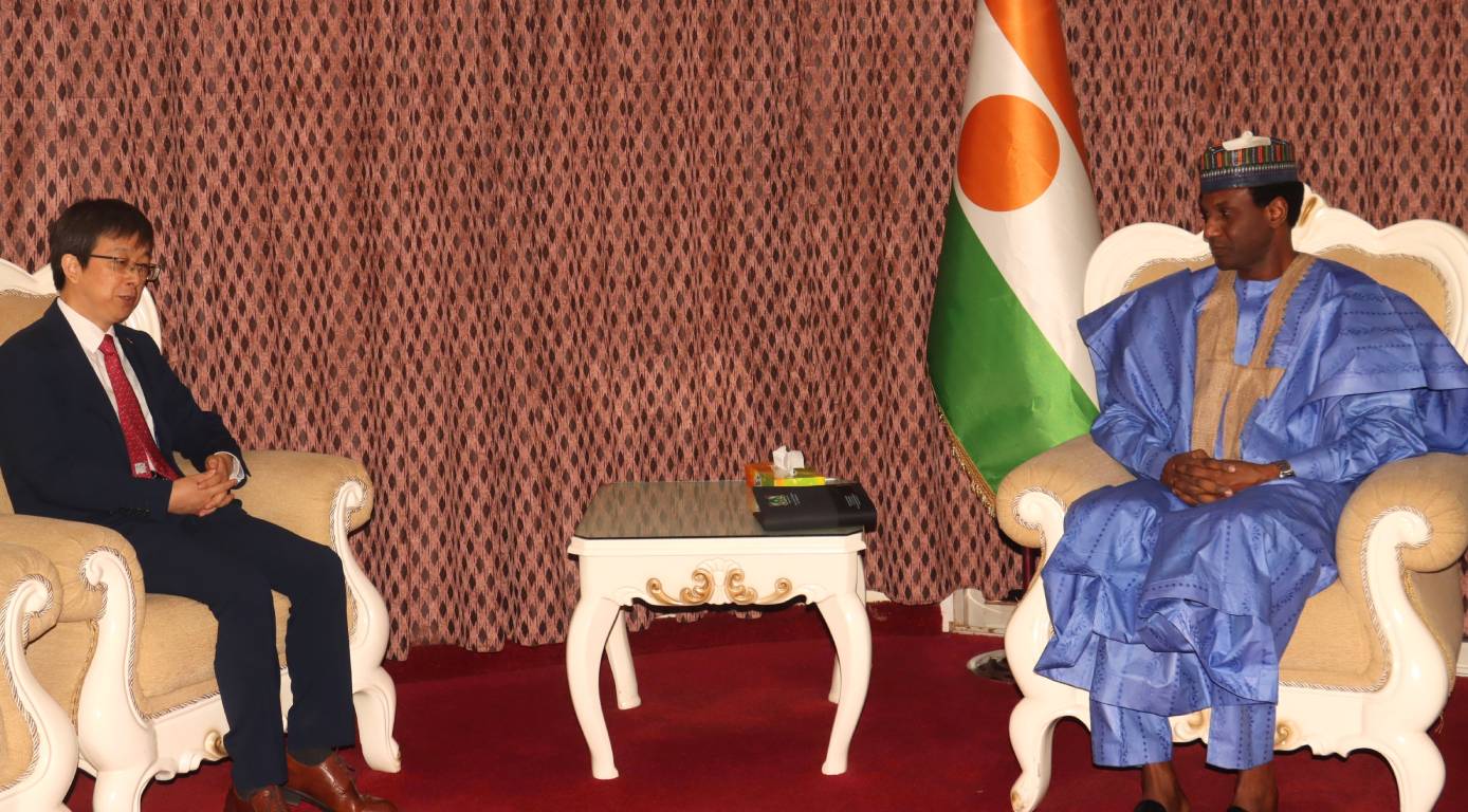 Le Premier Ministre, Ali Mahamane Lamine Zeine, reçoit l'Ambassadeur ...